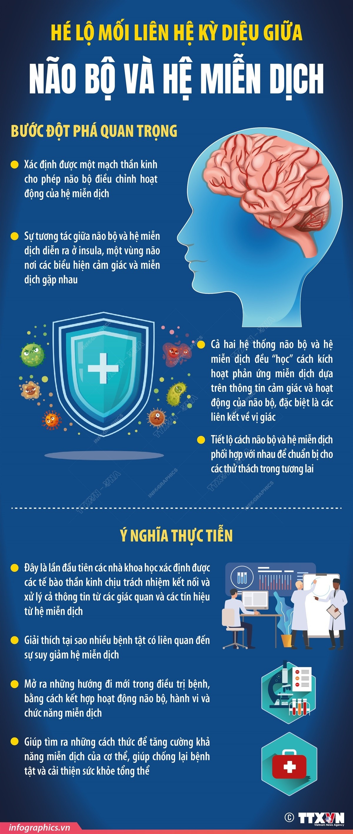 Mối liên hệ giữa não bộ và hệ miễn dịch: Bí quyết tăng cường khả năng ...