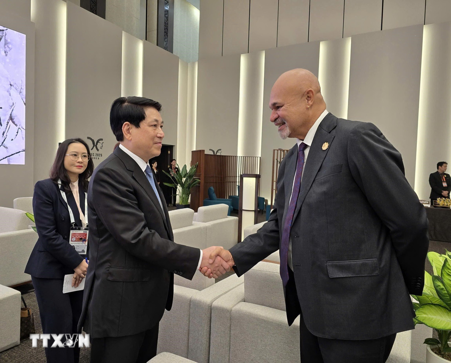 Chủ tịch nước Lương Cường gặp lãnh đạo các nền kinh tế APEC | Vietnam+ (VietnamPlus)