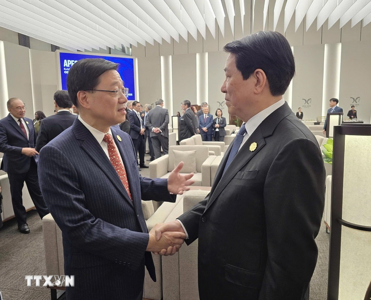 Chủ tịch nước Lương Cường gặp lãnh đạo các nền kinh tế APEC | Vietnam+ (VietnamPlus)