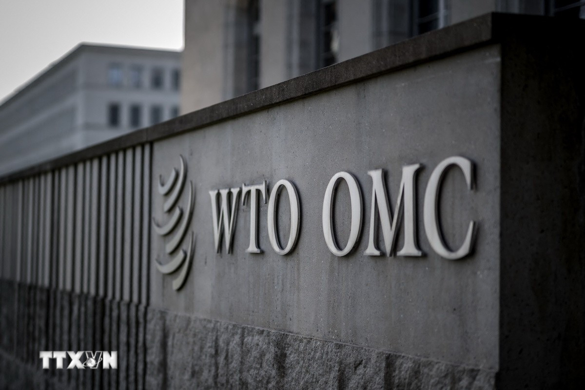 30 năm WTO: Đạt được những thành tựu, đối mặt với thách thức | Vietnam+ ...