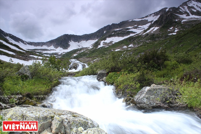 [Photo] Khám phá vẻ đẹp hùng vĩ của rừng Taiga nước Nga | Vietnam+ (VietnamPlus)