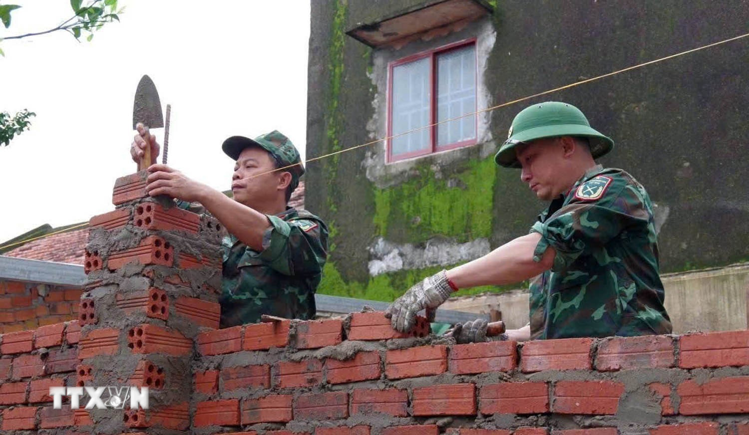 Vượt nắng, thắng mưa xây giấc mơ giữa đại ngàn | Vietnam+ (VietnamPlus)