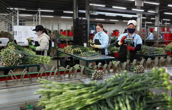 Hỗ trợ doanh nghiệp tháo gỡ khó khăn, thúc đẩy sản xuất kinh doanh cuối ...