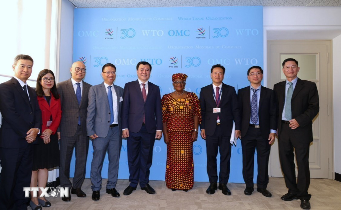 Việt Nam ủng hộ cải cách WTO, chuẩn bị cho hội nhập bền vững | Vietnam+ (VietnamPlus)