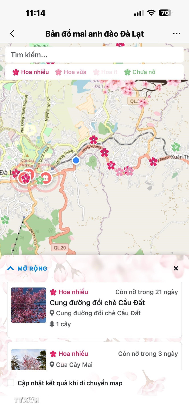 Lam Dong: Developing an updated map for tourists during the Da Lat ...