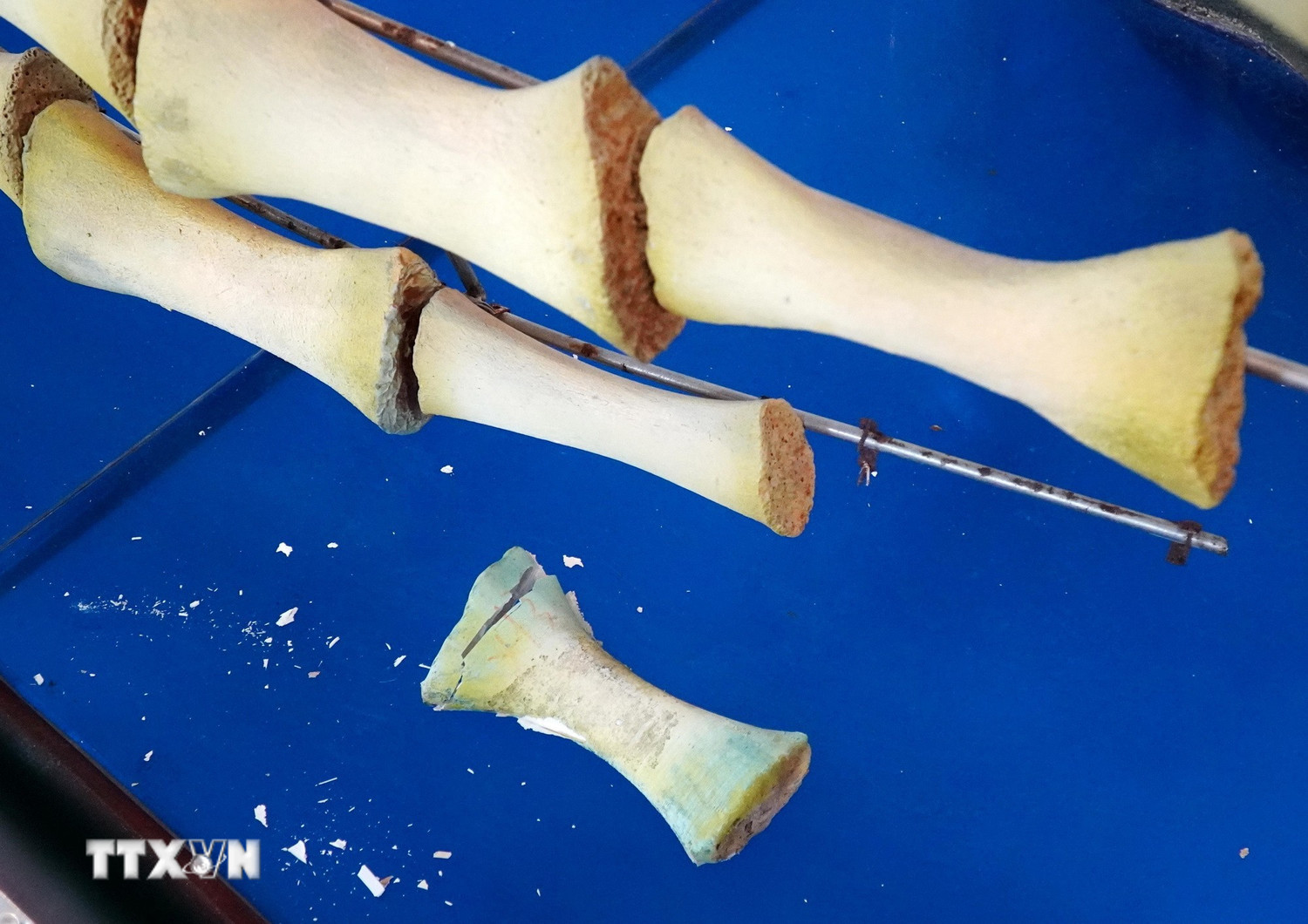 A solution is needed to repair the damaged skeleton of the Lăng Tân ...