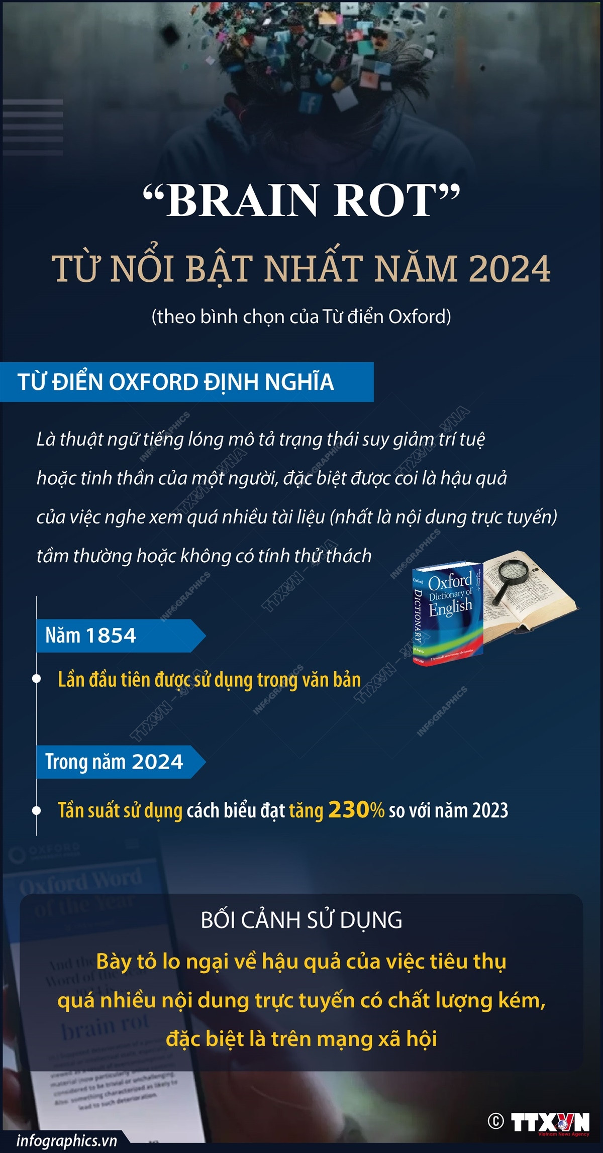 “Brain rot” - Từ nổi bật nhất năm 2024 | Vietnam+ (VietnamPlus)