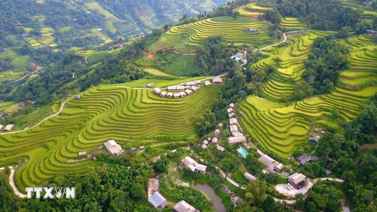 Mùa vàng Thông Nguyên - Bản giao hòa giữa sắc màu văn hóa và thiên nhiên - Báo An Giang Online