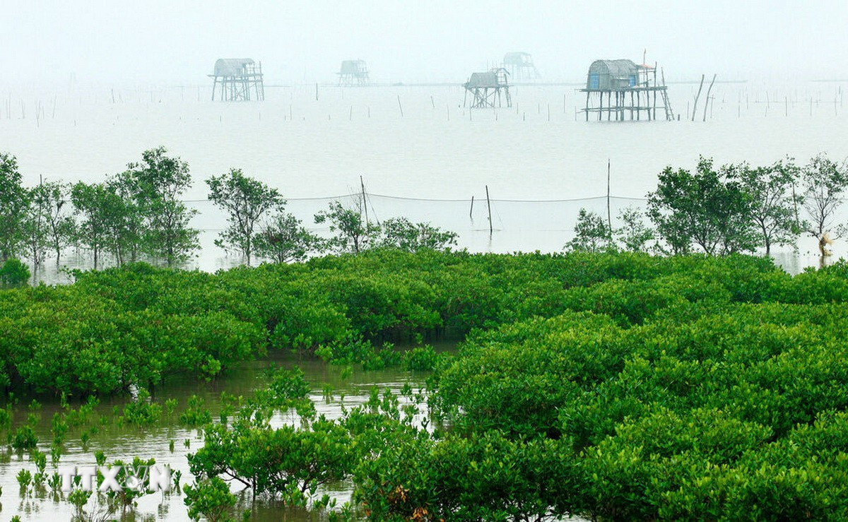 Vườn Quốc gia Xuân Thủy: Khu Ramsar Đầu Tiên và Công viên Di sản ASEAN ...