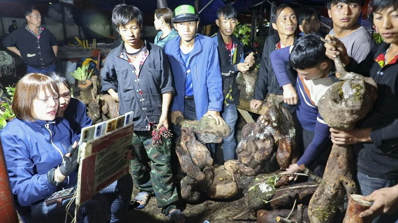 Điện Biên: Độc đáo chợ đêm vùng cao của người Mông ở Tủa Chùa ...