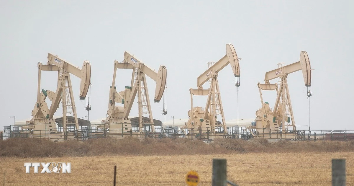 OPEC Dự Báo Nhu Cầu Dầu Thế Giới Tăng Đến 2050 | Vietnam+ (VietnamPlus)