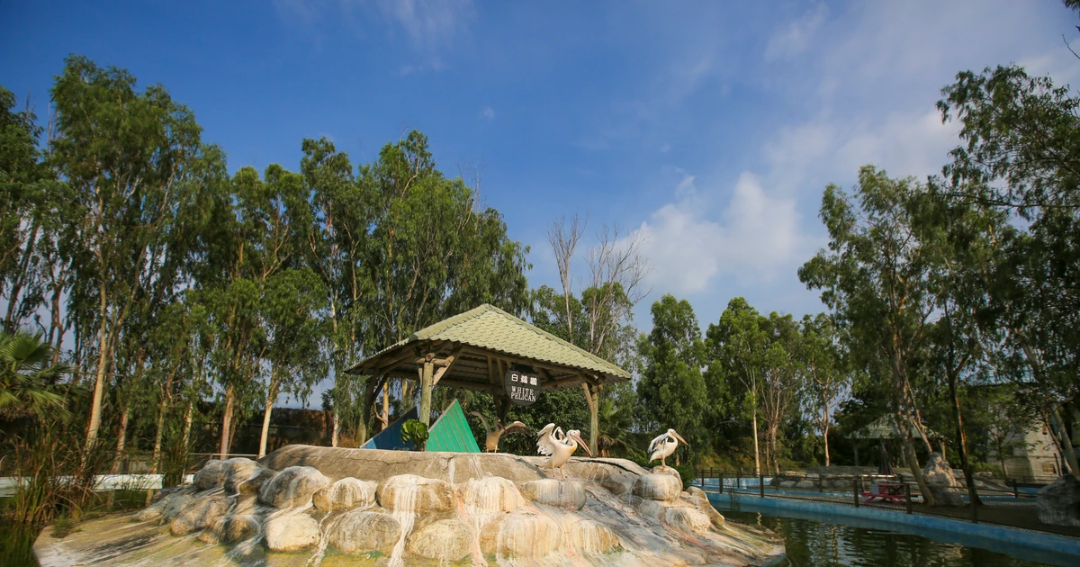 Đài Loan: Khám phá thế giới động vật kỳ thú ở Wanpi World Safari Zoo ...