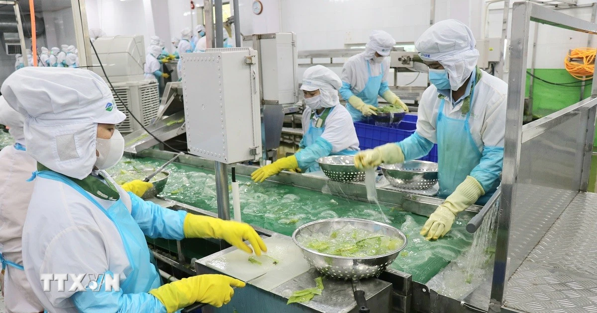 Nghị quyết 57: Nâng cao chất lượng sản phẩm, đổi mới thể chế | Vietnam+ ...