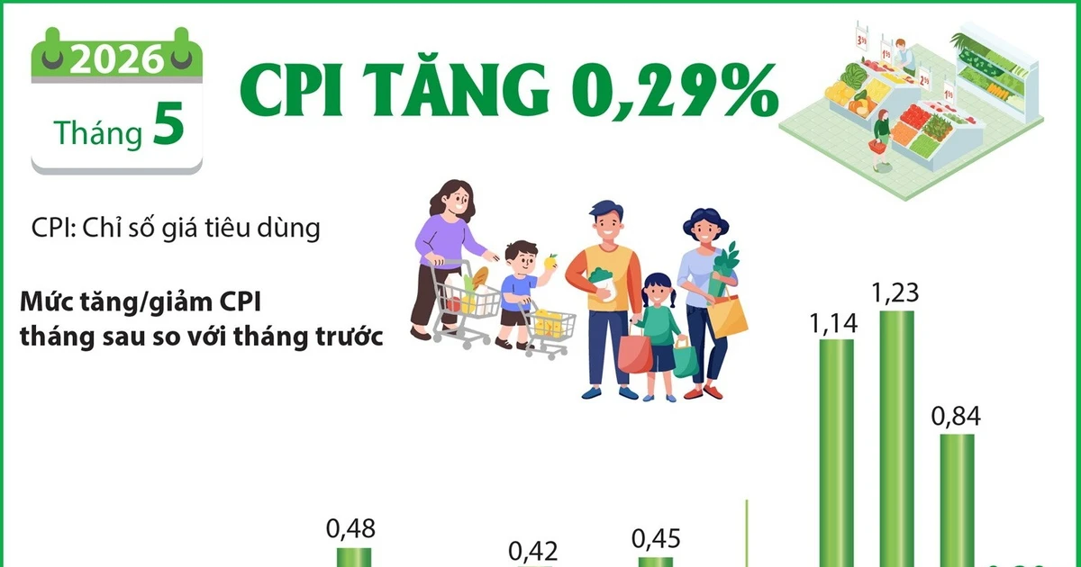 CPI tháng 5/2026 tăng 0,29% do giá điện và xăng tăng