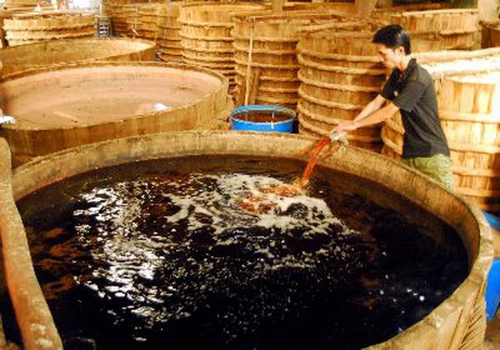 VINASTAS phủ nhận nêu tên hãng nước mắm trong kết quả khảo sát ...