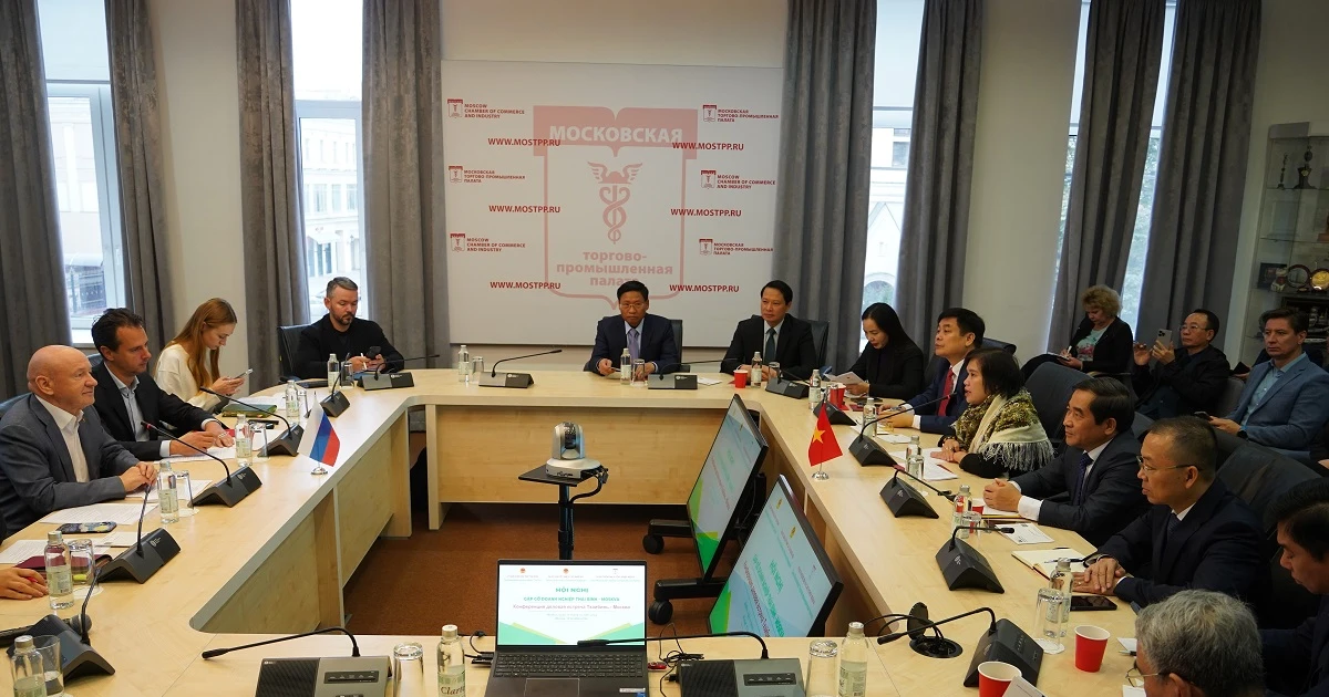 Tỉnh Thái Bình thúc đẩy hợp tác, đầu tư với các địa phương của Liên bang Nga | Vietnam+ ...