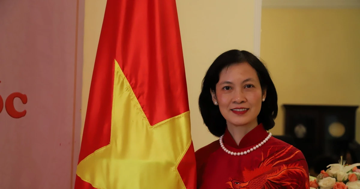 Đại sứ Lê Kim Quy nói về chuyến thăm của Tổng thống Guinea-Bissau đến Việt Nam | Vietnam+ ...