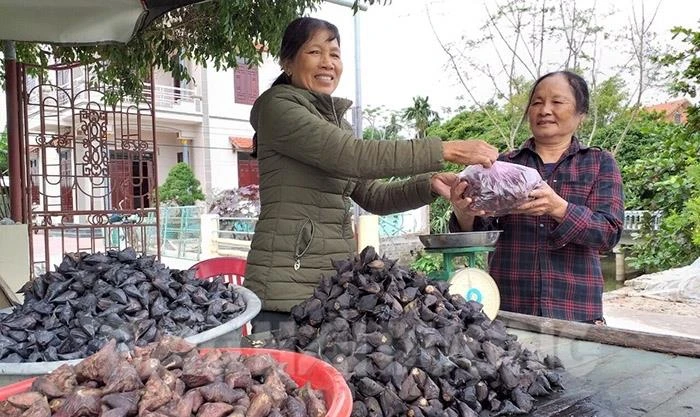 Củ ấu Hưng Long - món quà tuổi thơ không thể quên