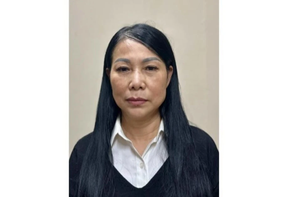 Tạm đình chỉ nhiệm vụ, quyền hạn đại biểu Quốc hội đối với bà Hoàng Thị Thúy Lan | Vietnam+ ...