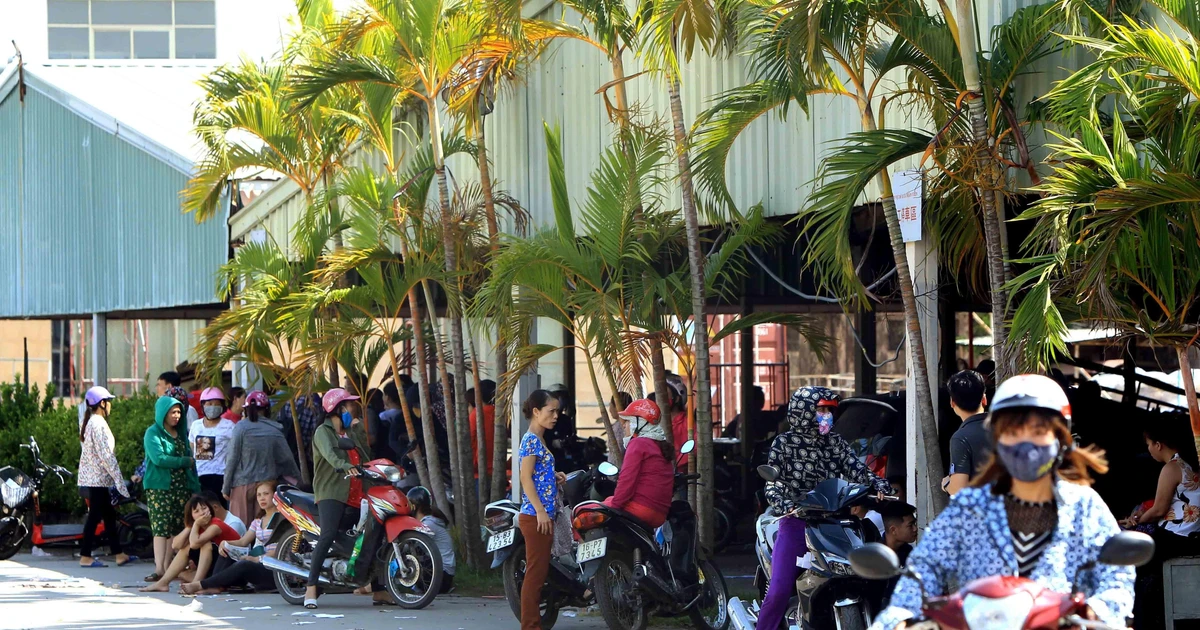 Hải Phòng: Công nhân công ty KaiYang hoang mang vì lãnh đạo bỏ đi ...