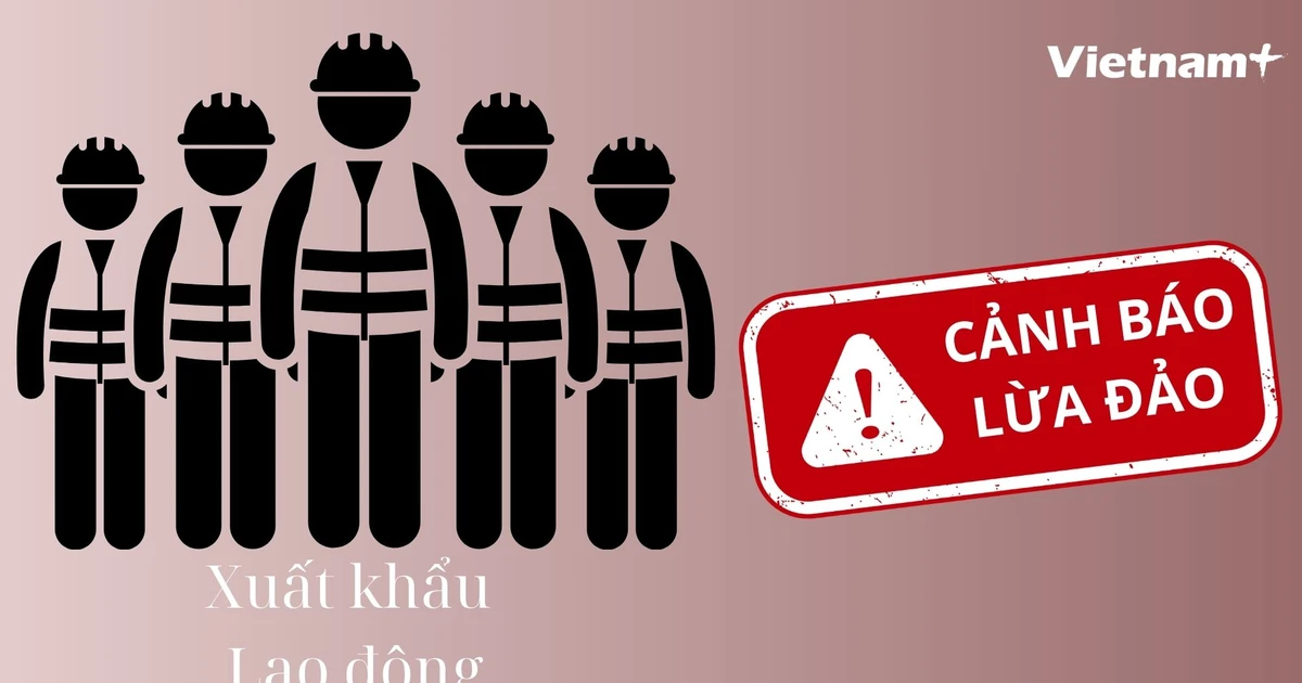 Truy tố nữ giám đốc lừa đảo xuất khẩu lao động sang Nhật Bản | Vietnam+ ...