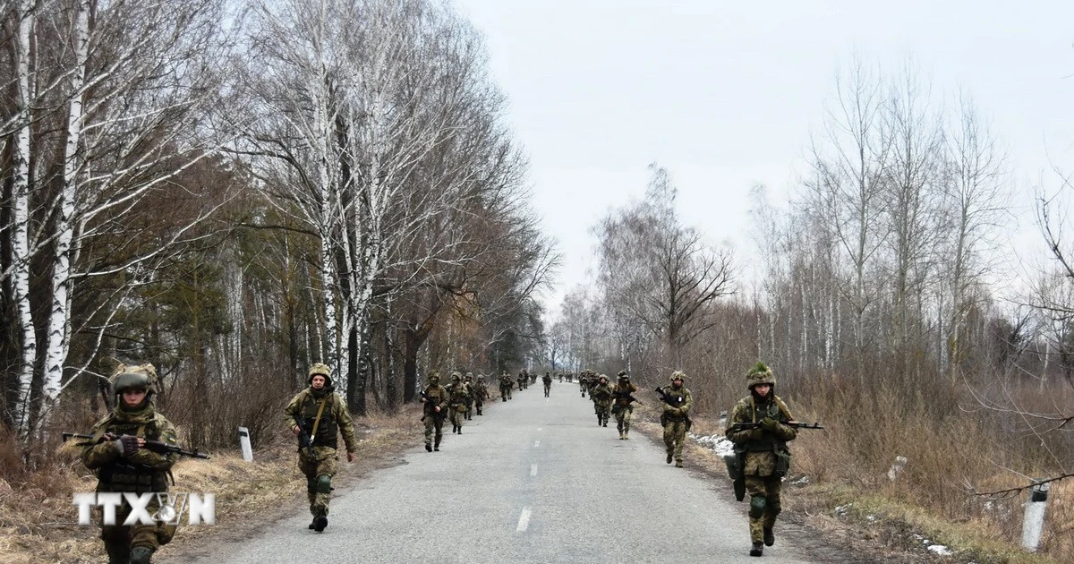 Nga Sẵn Sàng Đàm Phán Trực Tiếp Với Ukraine Tại Thổ Nhĩ Kỳ | Vietnam+ (VietnamPlus)