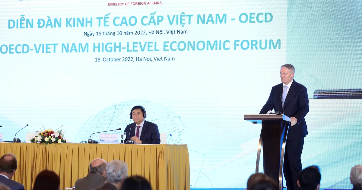OECD: Tăng cường cam kết với Việt Nam là một ưu tiên hàng đầu | Vietnam+ (VietnamPlus)