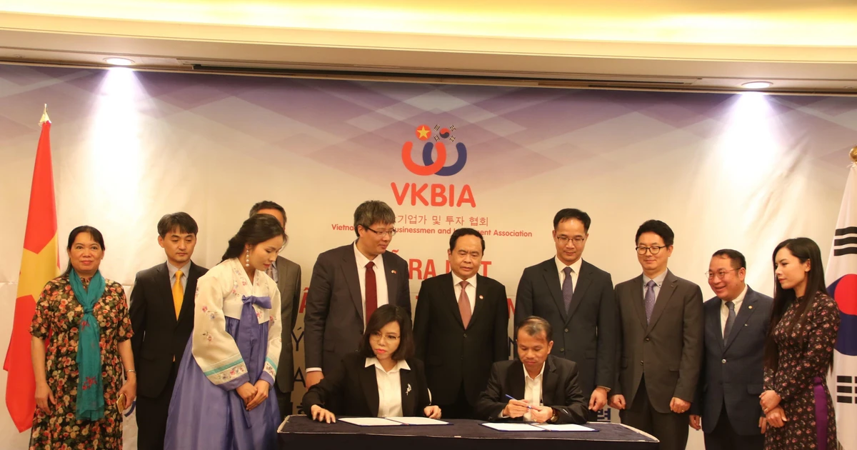 Ra mắt Hiệp hội Doanh nhân và Đầu tư Việt Nam-Hàn Quốc | Vietnam+ (VietnamPlus)