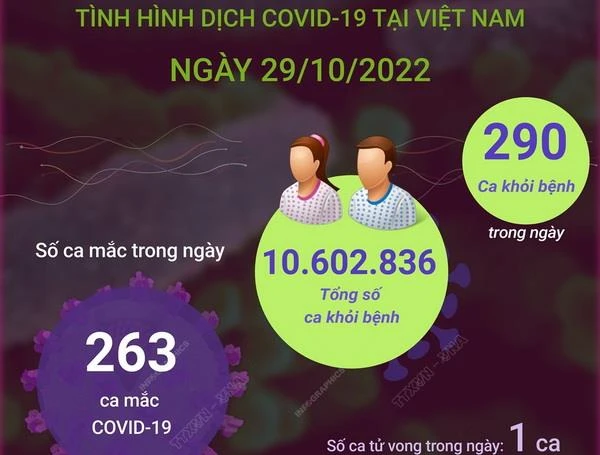 [Infographics] Ngày 29/10: Có 263 ca COVID-19 mới, 290 F0 khỏi bệnh ...