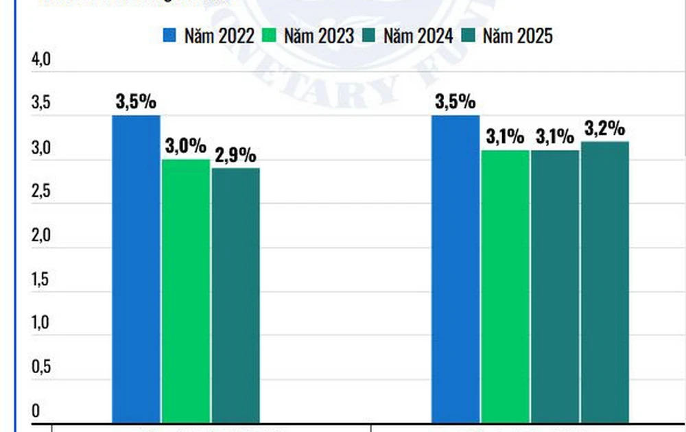 IMF nâng dự báo tăng trưởng kinh tế toàn cầu năm 2024 | Vietnam+ ...