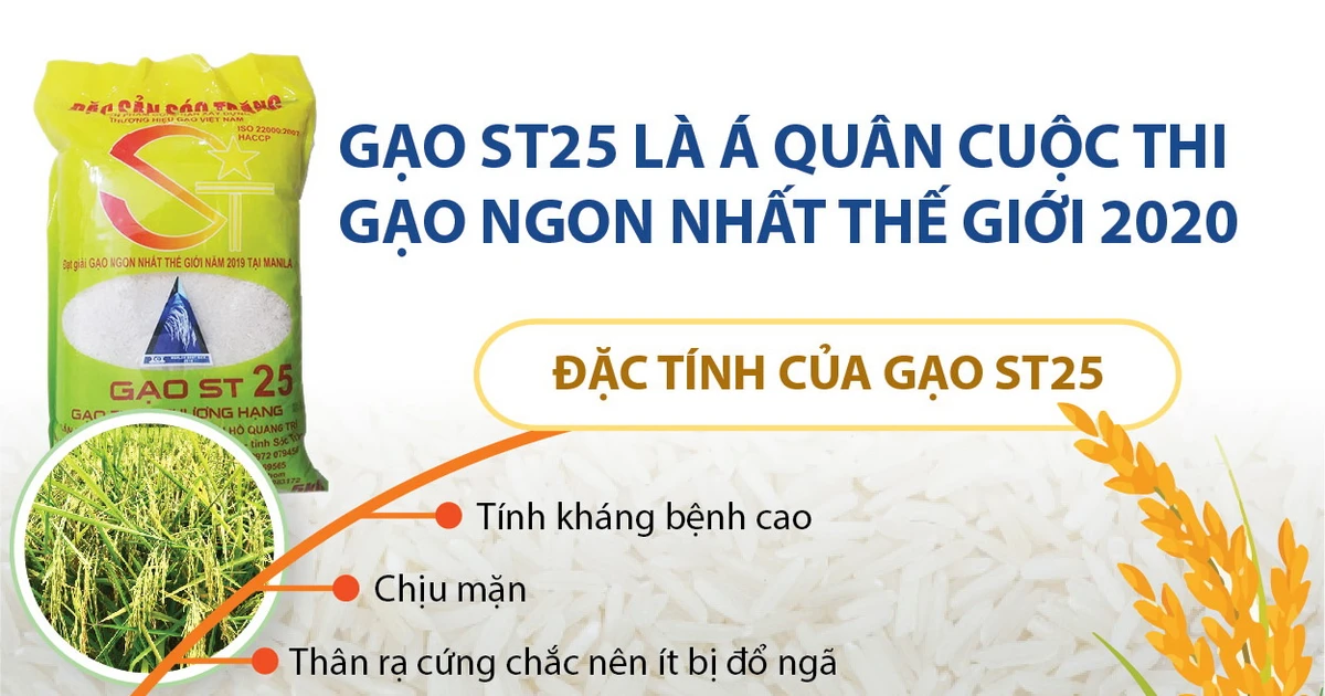 Những đặc tính khiến ST25 giành á quân cuộc thi Gạo ngon nhất thế giới ...