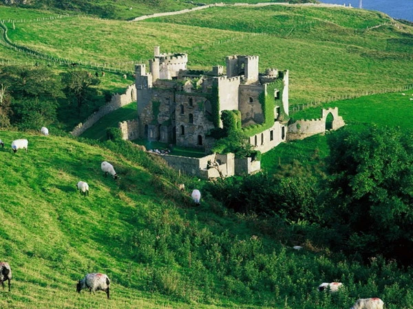 Đại sứ quán Ireland ở Việt Nam tổ chức sự kiện "nhuộm xanh Hà Nội ...