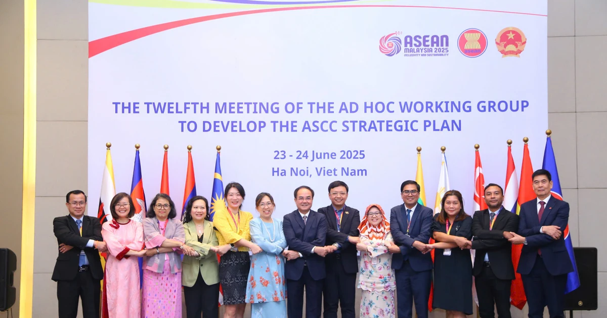 Việt Nam chủ trì họp chiến lược Cộng đồng Văn hóa ASEAN | Vietnam+ (VietnamPlus)