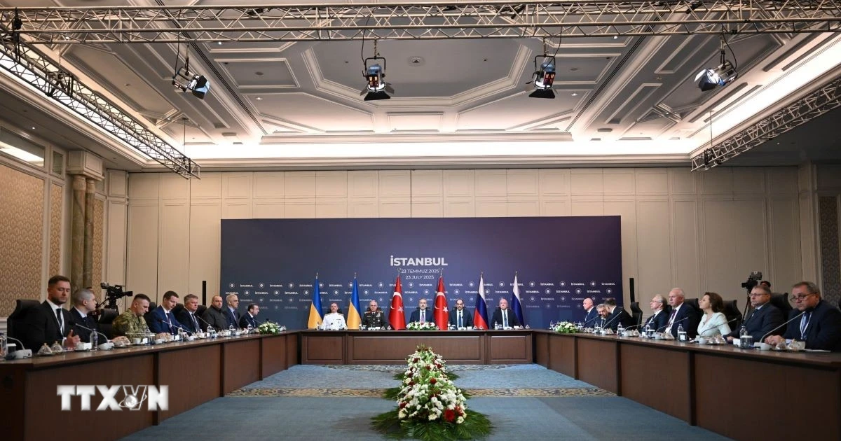 Ukraine và Nga bàn kế hoạch gặp thượng đỉnh Zelensky-Putin | Vietnam+ (VietnamPlus)