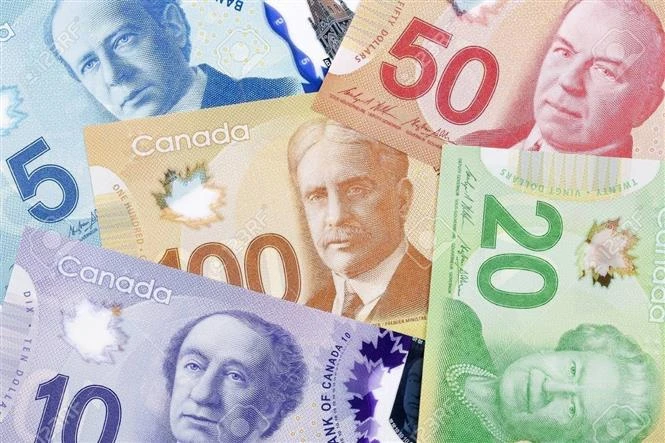 Giới chuyên gia kỳ vọng Ngân hàng TW Canada giữ ổn định lãi suất ...