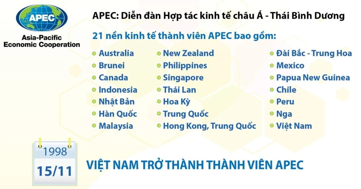 Việt Nam luôn chủ động, tích cực tham gia, đóng góp trong APEC | Vietnam+ (VietnamPlus)