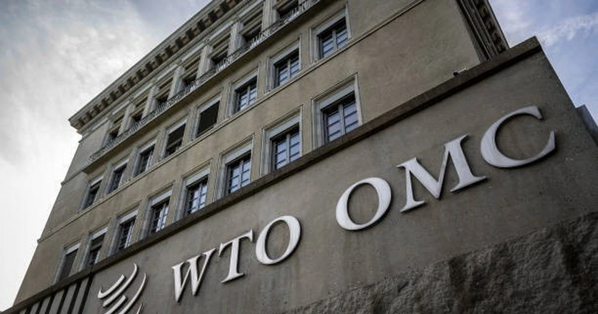 18 năm Việt Nam gia nhập WTO: Hành trình hội nhập và phát triển ...