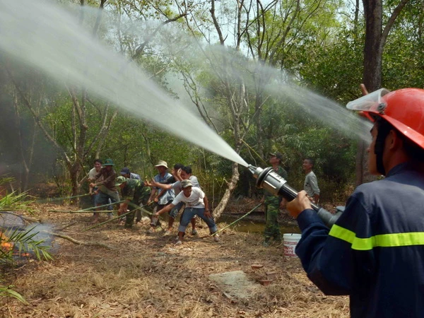 Tăng cường phòng cháy chữa cháy rừng ở Vườn Quốc gia Tràm Chim ...