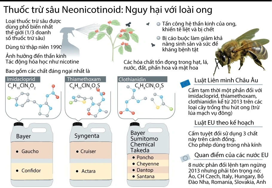 [Infographics] Thuốc trừ sâu neonicotinoid nguy hại tới loài ong ...