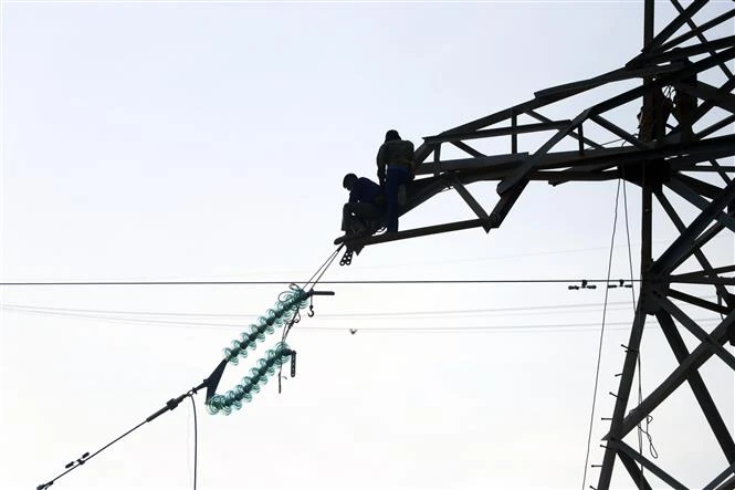 Tàu hàng làm đứt đường dây 35kV, đảo Cát Bà mất điện hai ngày | Vietnam+ (VietnamPlus)