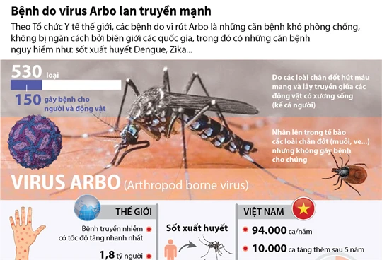 [Infographics] Bệnh do virus Arbo đang lan truyền mạnh | Vietnam+ ...