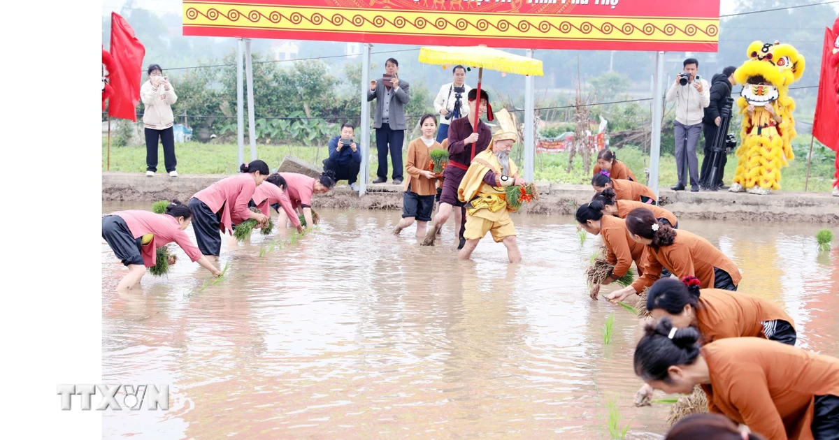 Lễ hội 'Vua Hùng dạy dân cấy lúa': Tri ân công lao của các Vua Hùng ...