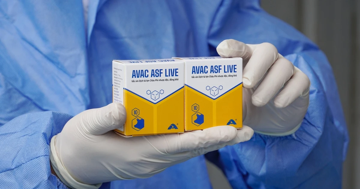 Xuất khẩu thêm 340.000 liều vaccine dịch tả lợn châu Phi sang ...