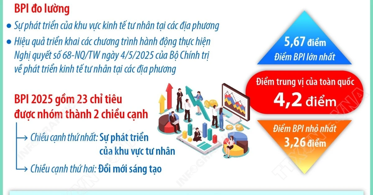 Kết quả Chỉ số Hiệu quả Kinh tế tư nhân 2025 của 34 địa phương