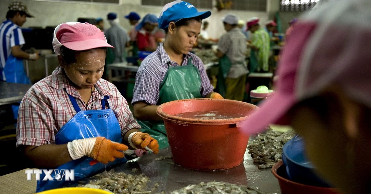 Thái Lan siết chặt kiểm tra, ngăn chặn lao động bất hợp pháp | Vietnam+ ...