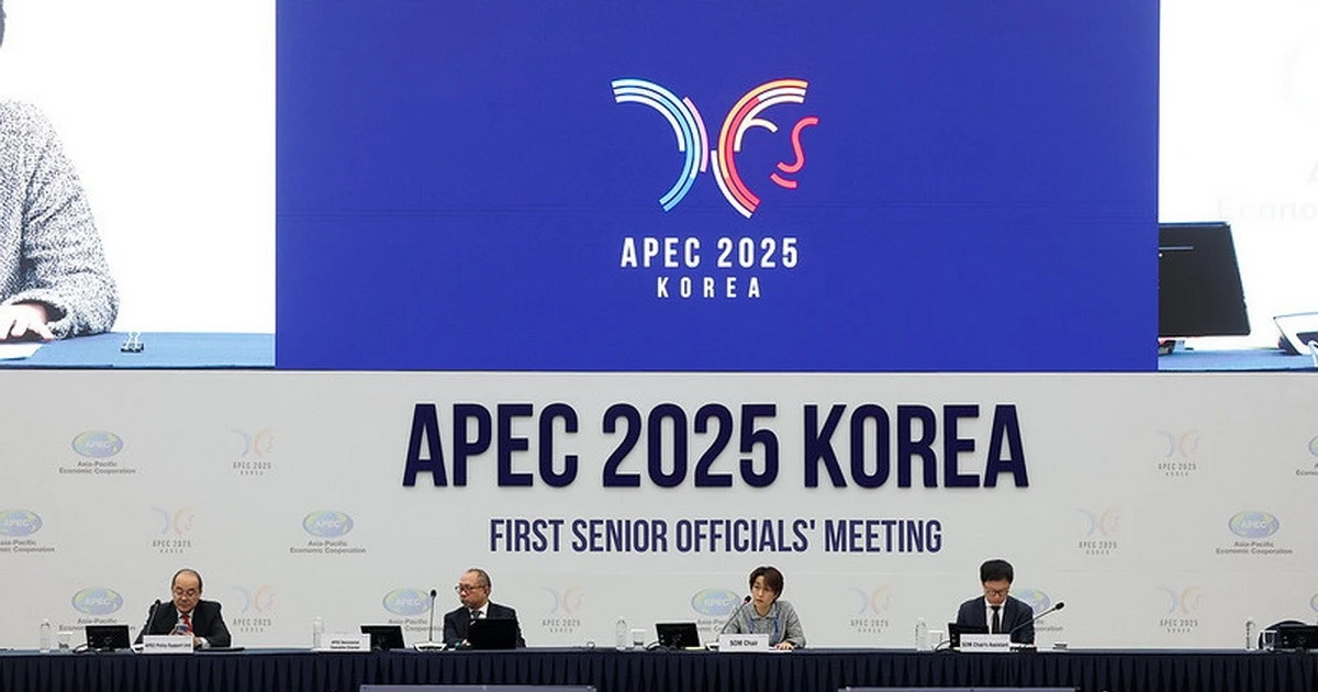 Hội nghị SOM 2 APEC 2025 chính thức khai mạc | Vietnam+ (VietnamPlus)