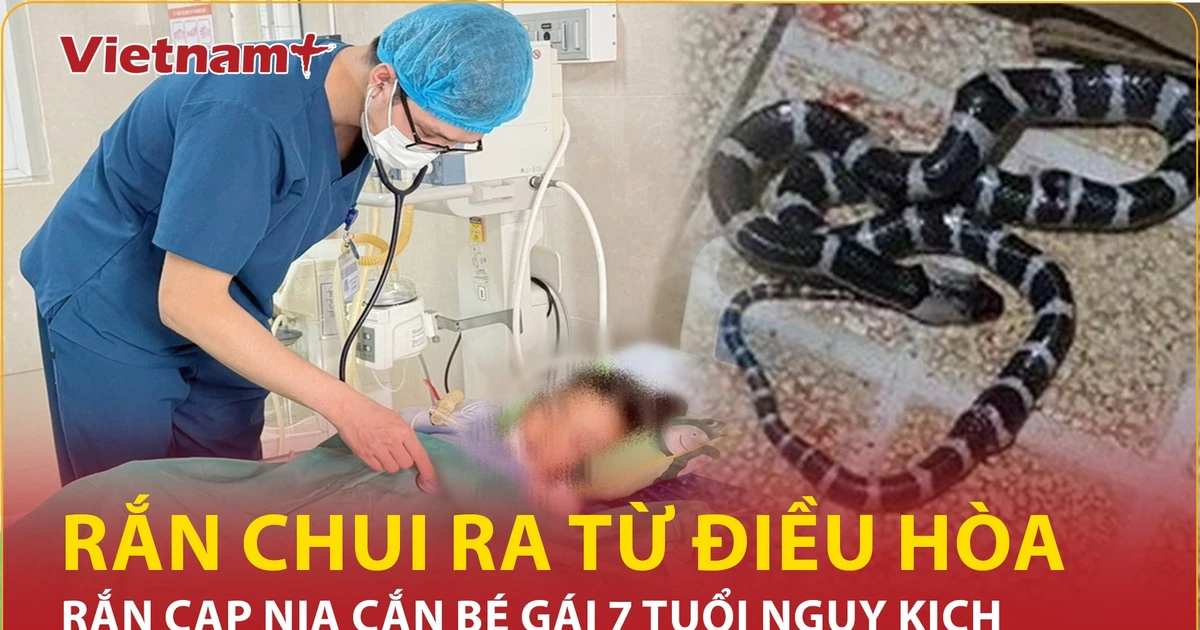 Sức khỏe bé gái bị rắn cạp nia cắn sau khi chui từ điều hòa