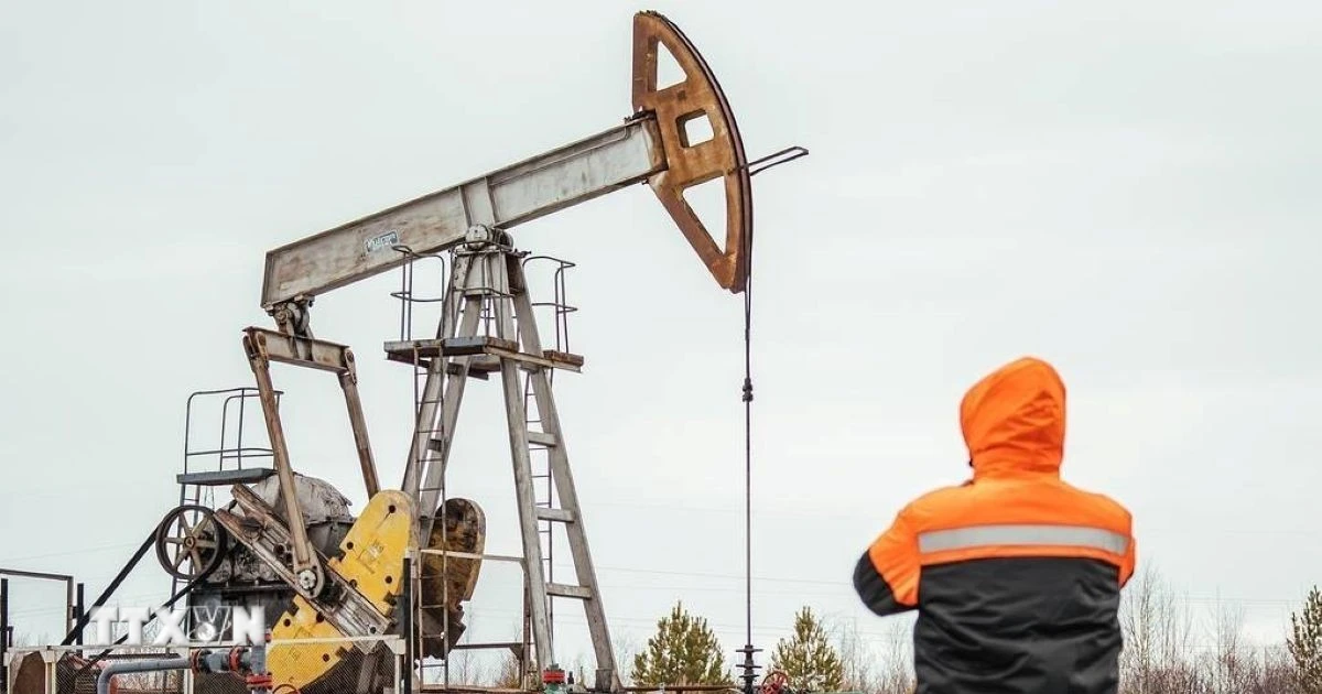 G7 tăng cường trừng phạt các nước mua dầu Nga | Vietnam+ (VietnamPlus)