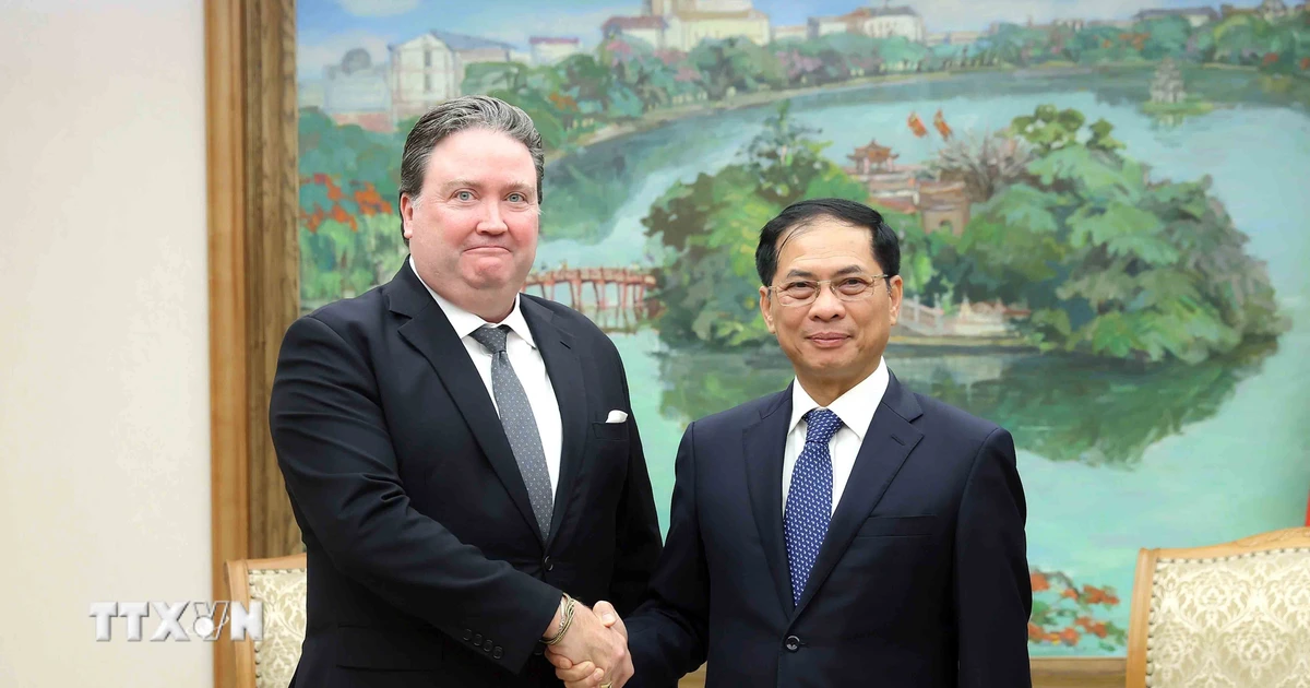 Phó Thủ tướng Bùi Thanh Sơn gặp Đại sứ Hoa Kỳ Marc E. Knapper | Vietnam+ (VietnamPlus)