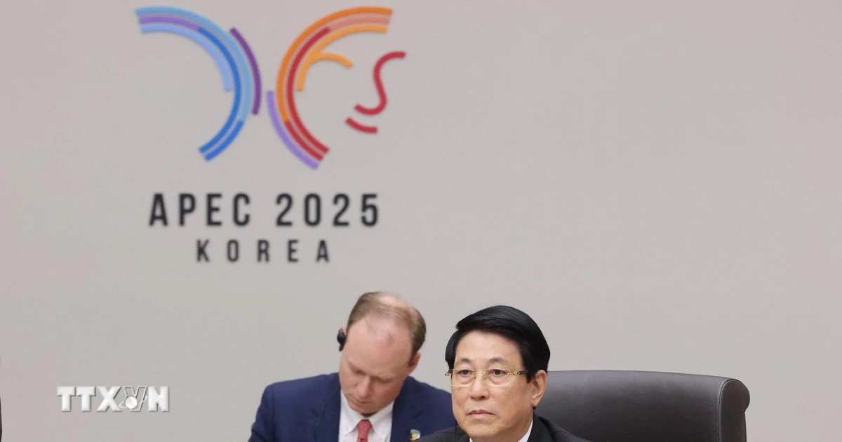 Chủ tịch nước Lương Cường hội đàm với Tập Cận Bình tại APEC 2025 | Vietnam+ (VietnamPlus)